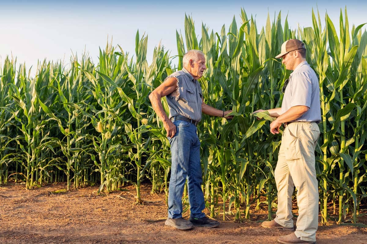 Innvictis Adds INNLIVEN™ Fungicides to Line-Up | Innvictis
